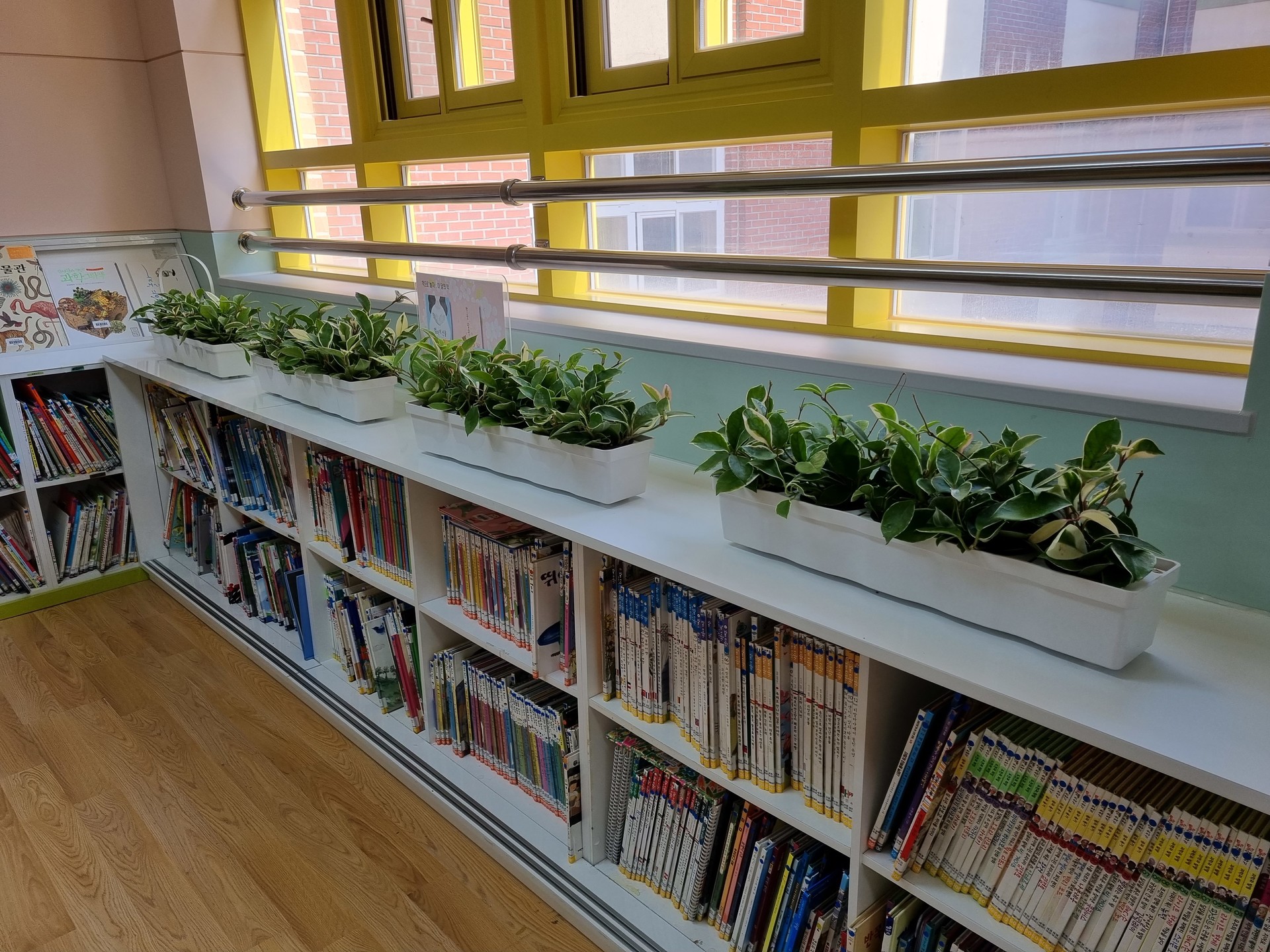 파티션화분은 타사 화분과 어떤 차이점이 있을까?