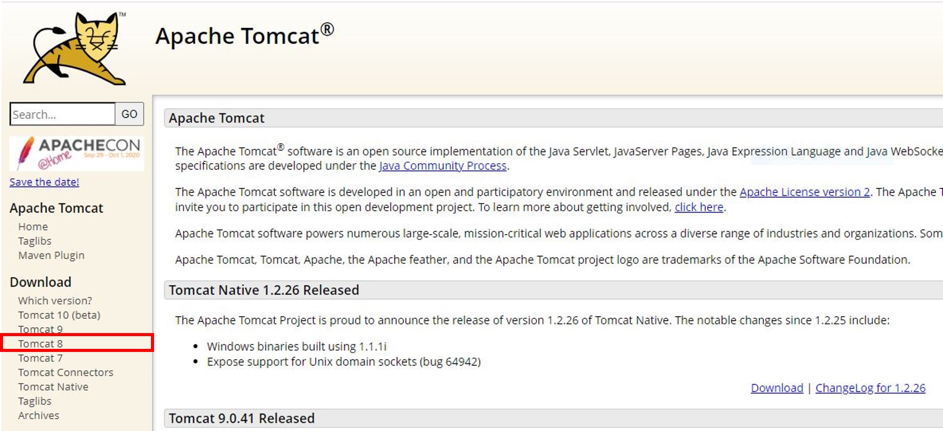 [Eclipse] Apache Tomcat 설정