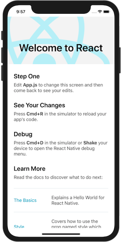 [React-Native] iOS 카탈리나 및 ZSH 업그레이드 후 실행/빌드 에러