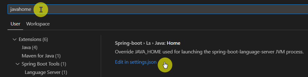 [error] VSCODE JDK 버전 관리