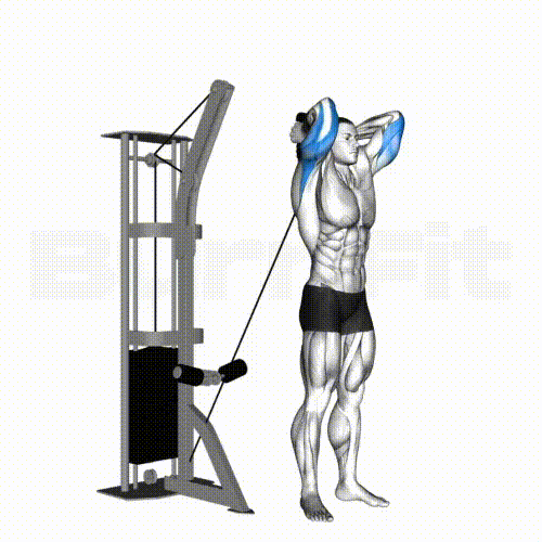 상완삼두근(Triceps Brachii): 위치, 통증, 스트레칭, 마사지 총정리