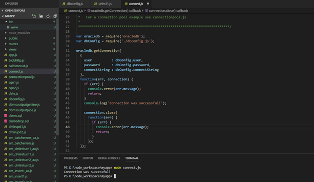 [Node.js Oracle 연동] Node Express 서버에 Oracle DataBase 연동하기