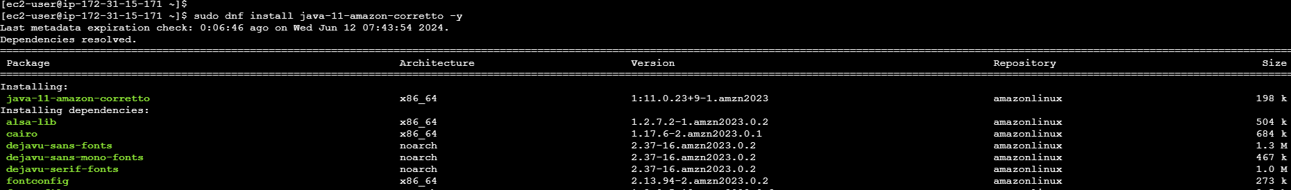 Jenkins Failed To Start Rvice Jenkins Continuous Integration Server Error