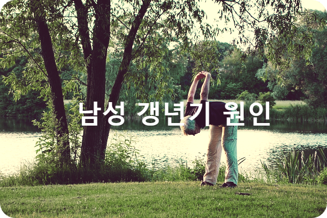 미션스쿨 남성 갱년기 원인과 증상