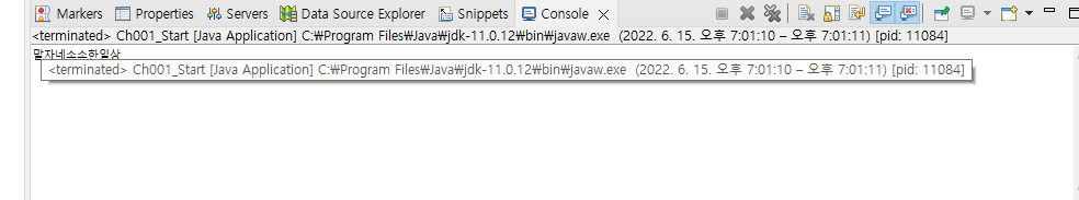 [JAVA/자바] 자바 입문(println, int, scanf, 객체지향언어)