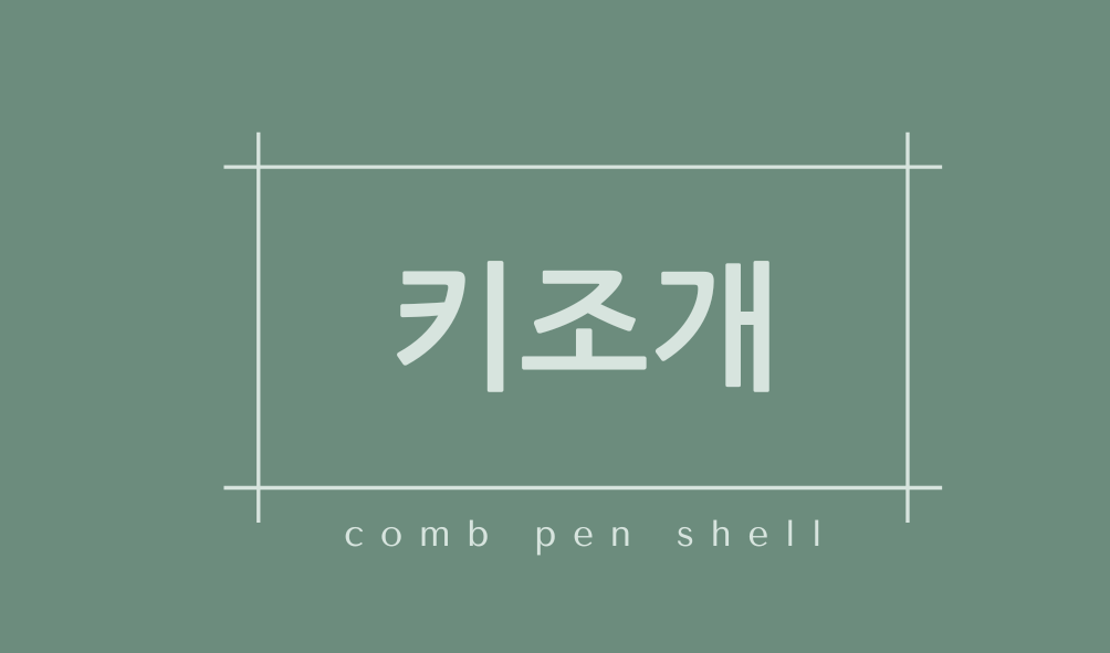키조개(comb pen shell)특징,서식지,종류,천적,수명,몸무게,꿈해몽