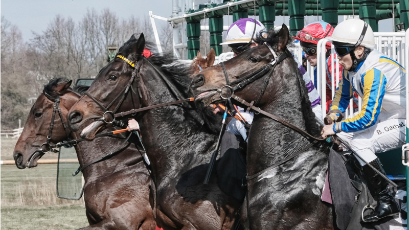 한국마사회 경마정보 홈페이지 (https://race.kra.co.kr) 바로가기