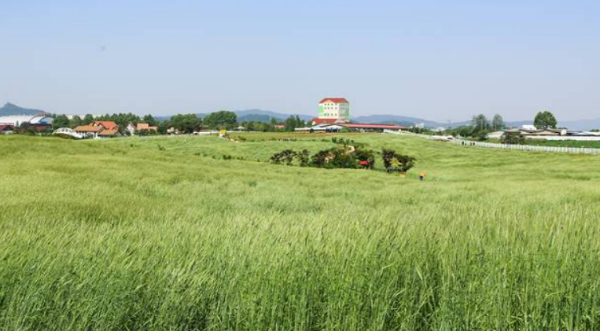 서울근교 가볼만한 여행지 - 농협안성팜랜드(ANSEONG FARMLAND)
