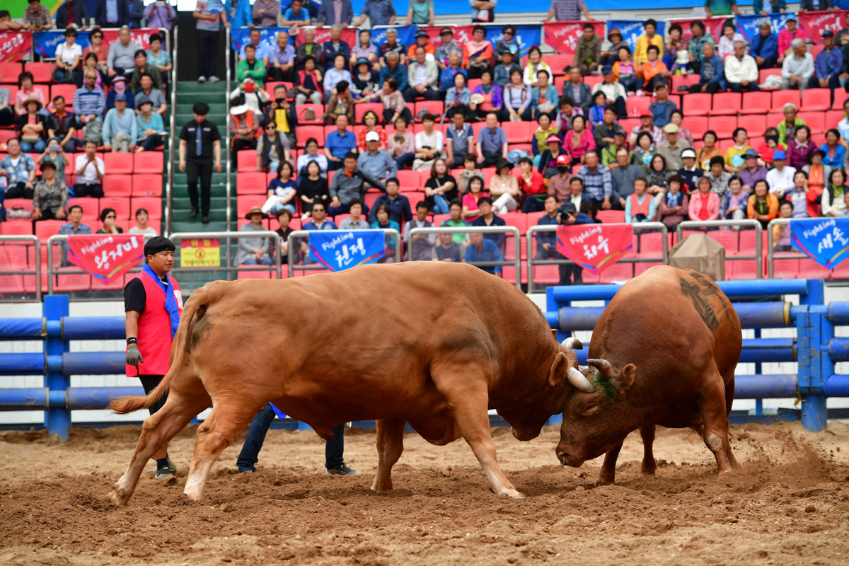 오늘의 운세 띠별운세 2020년 12월 16일 수요일 | namu_Knowledge