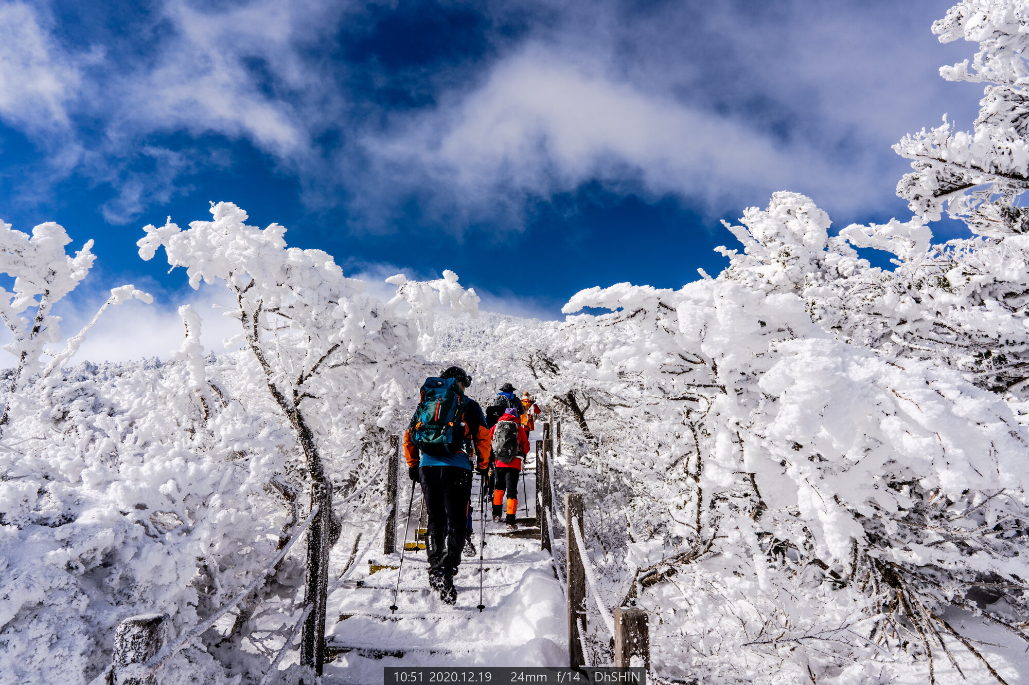 여행기 - 한라산, 겨울꽃에 파아란 바람이 불던 날 -1-