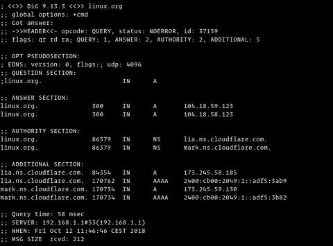 Linux : Dig 명령어 사용하는 방법, 예제, 명령어 (DNS Lookup)