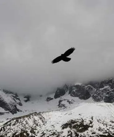 PAO 4기유의 성능과 추천 제품 비교 - 론JSM