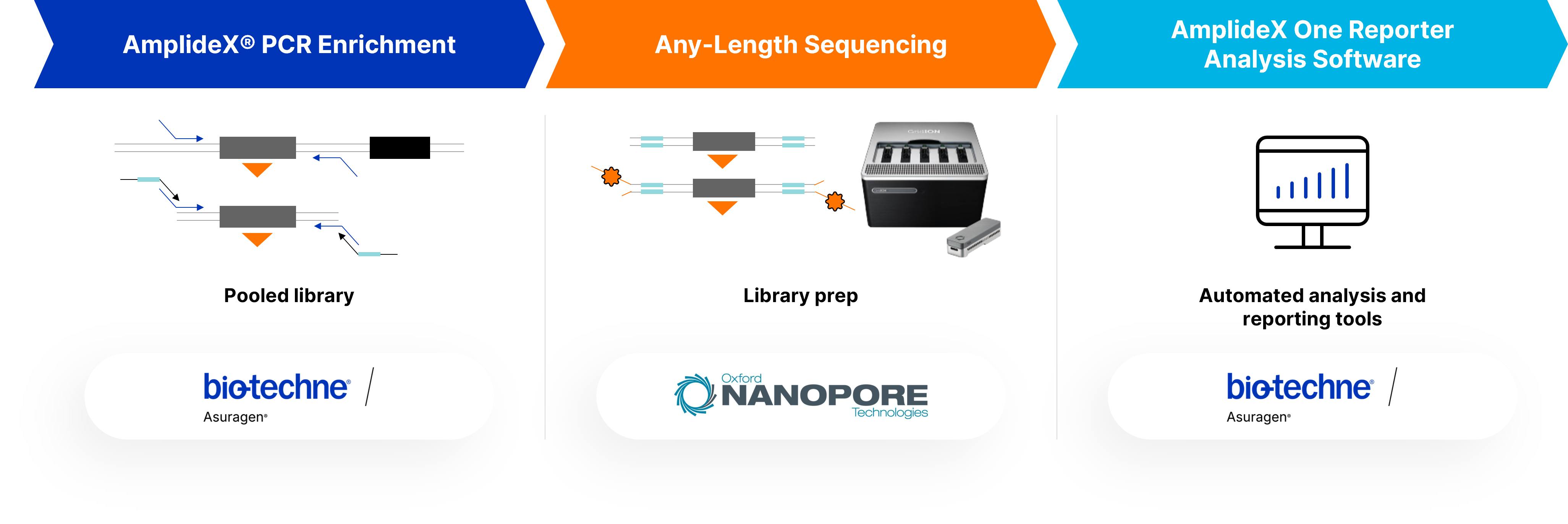 [Carrier Screening] AmplideX Nanopore Carrier Plus Kit 소개