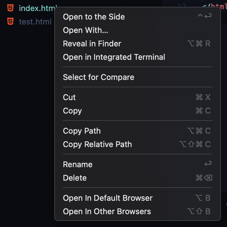 [VS Code] Open in browser 설치 및 크롬(default)으로 실행