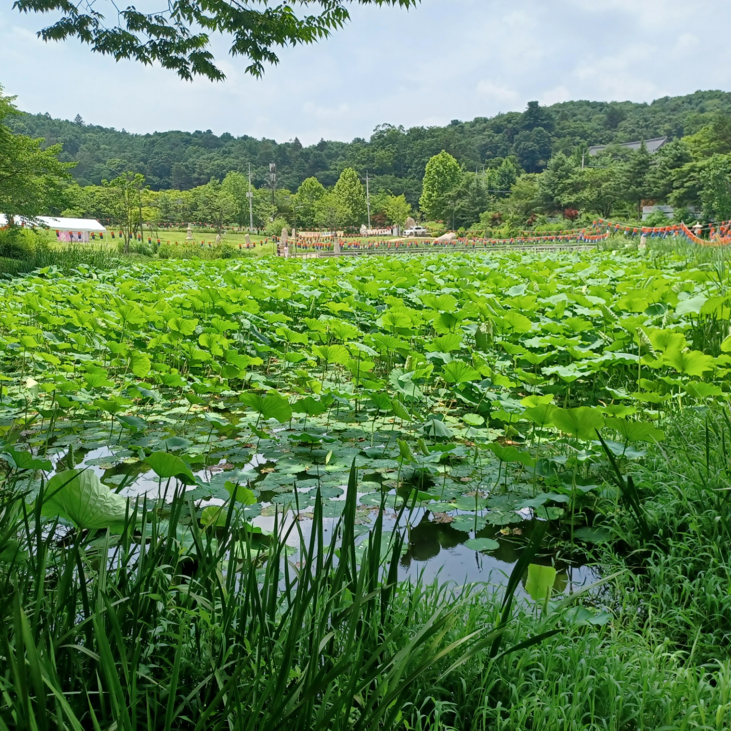 2021.7.1 광릉 봉선사 라이딩