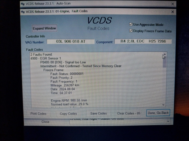 관찰중 P0405 P046C P0400 P042E