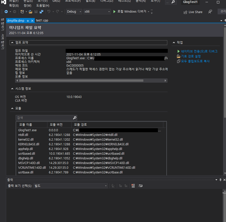 [visual studio] Dump 사용 방법