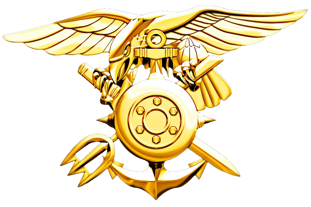 대한민국 군대는 얼마나 강할까? 특전사는?