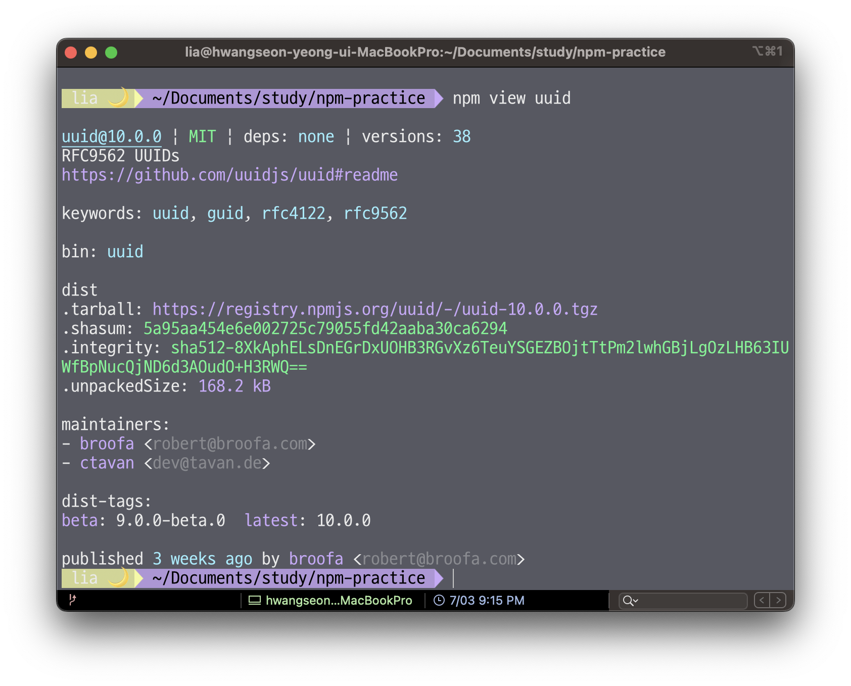 npm init으로 npm package.json 생성하기