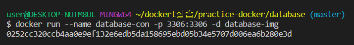 [04] Docker, mySQL바탕의 Dockerfile 만들기(feat.database폴더)
