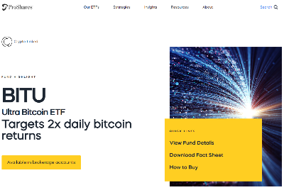 BITU ETF: 비트코인 2배 레버리지 투자, 주가 전망, 배당, 수수료 완벽 분석