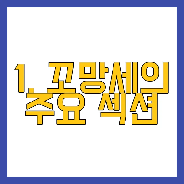 꼬망세 홈페이지 (https://www.edupre.co.kr)