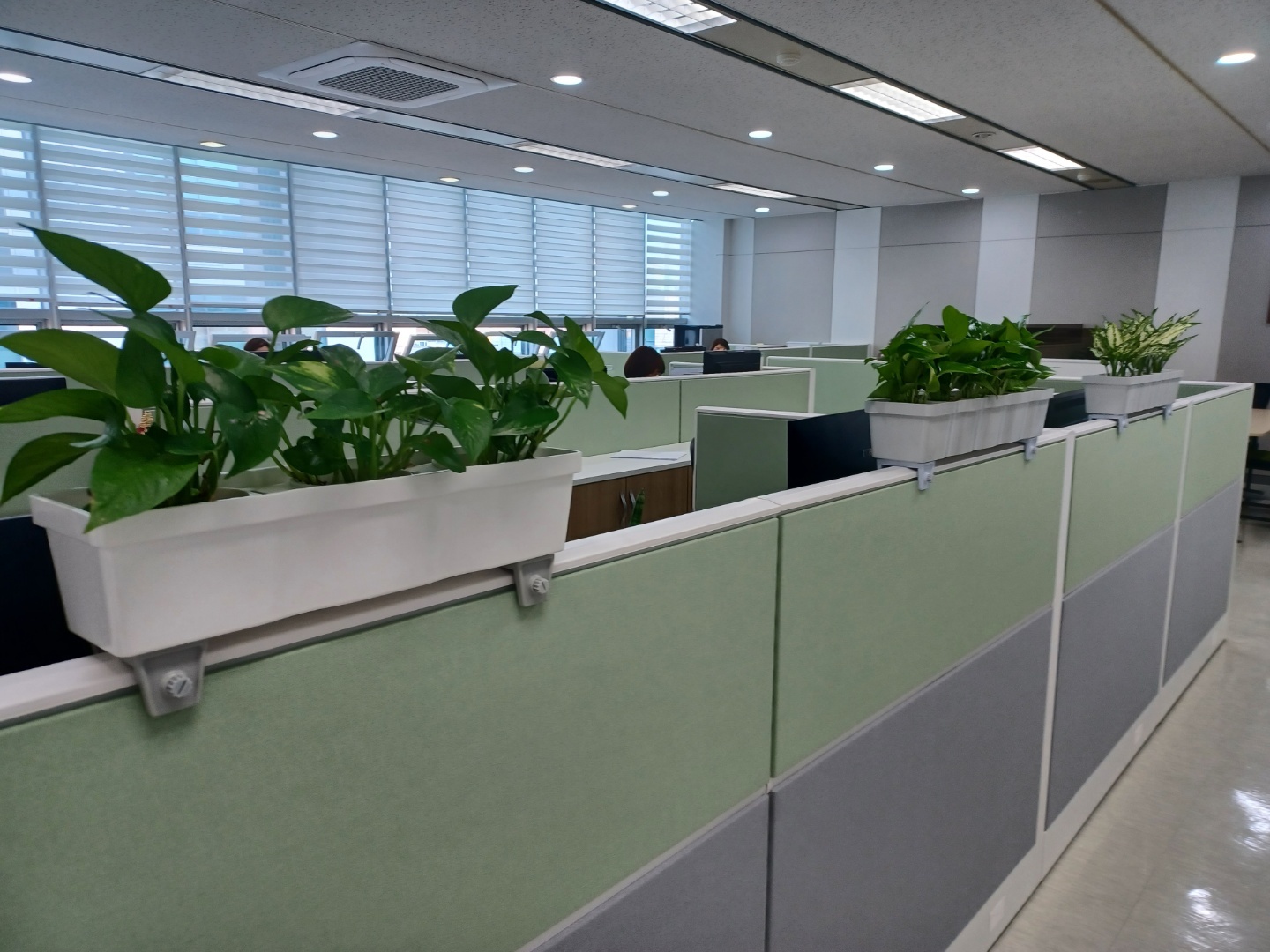 파티션화분은 타사 화분과 어떤 차이점이 있을까?