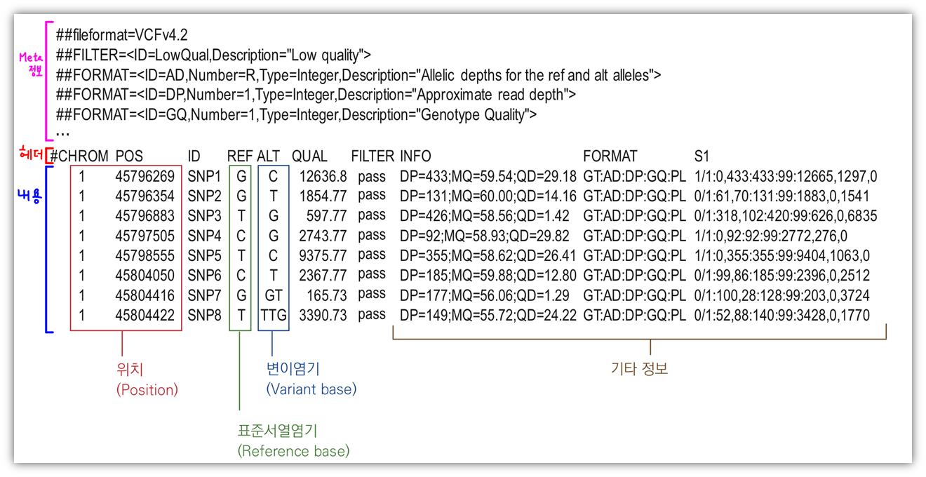 Sequencing data 처음 이해하기 : 네이버 블로그
