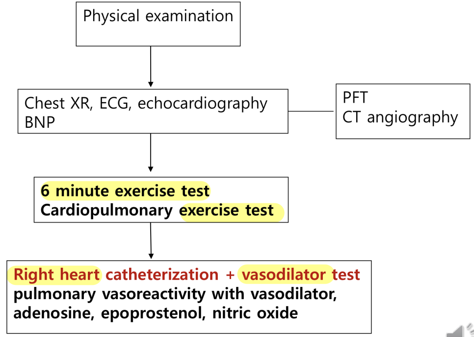 Pulmonary Artery Hypertension 폐동맥 고혈압 PAH, - a19