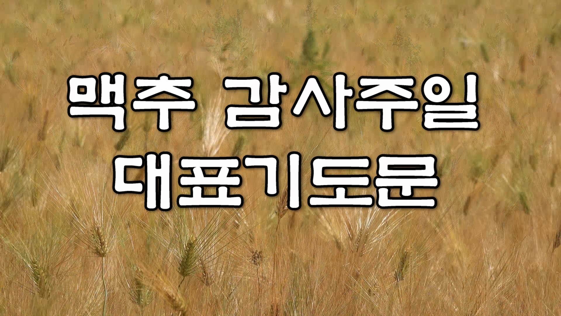 2024 맥추 감사주일 대표기도문 7월 첫째 주일 예배 대표 기도문 7월 주일 예배 대표 기도문 맥추감사절 성경말씀 복의