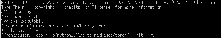 [Conda] global package를 conda env에서 사용하기