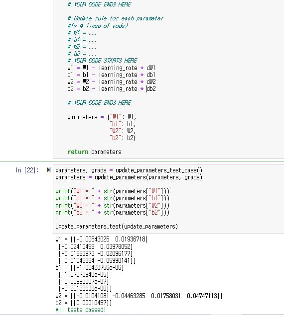 [인공지능 강의 리뷰] 19 - 하나의 숨겨진 레이어를 사용한 평면 데이터 분류. 프로그래밍 과제