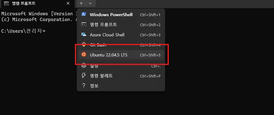[실습] WSL에 Docker 및 Minikube 설치