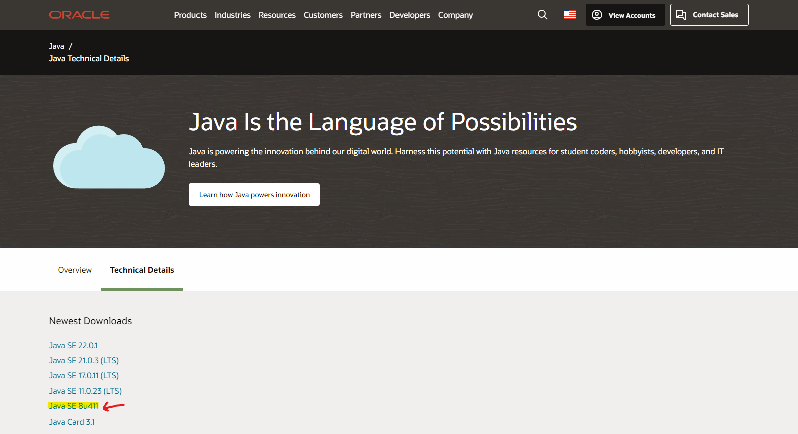 [JAVA] 자바 1.8 다운로드 및 제거, JDK 환경 변수 설정