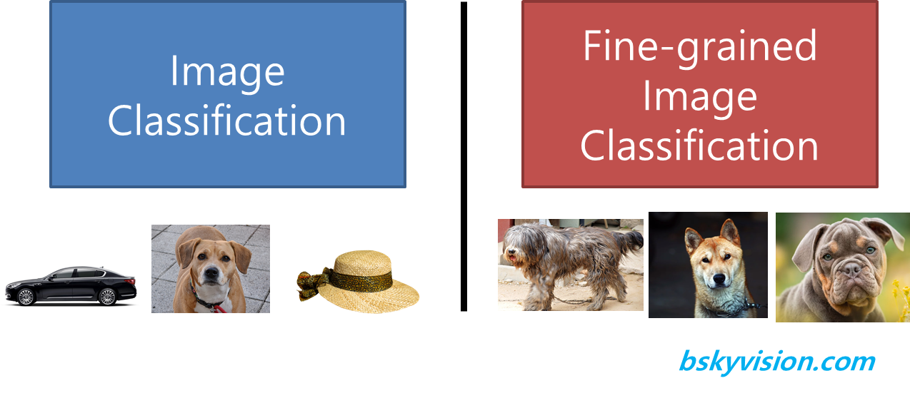 image classification과 fine-grained image classification의 차이 by ...