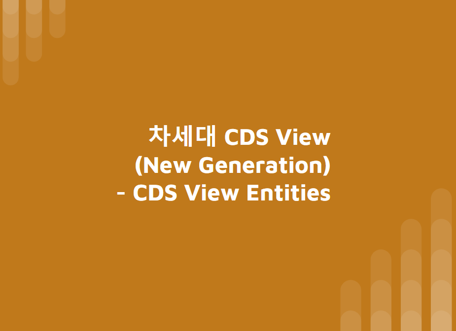 차세대 CDS View(New Generation)- CDS View Entities