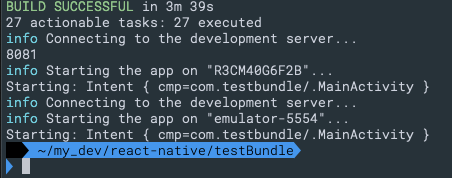 [React-Native] iOS 카탈리나 및 ZSH 업그레이드 후 실행/빌드 에러