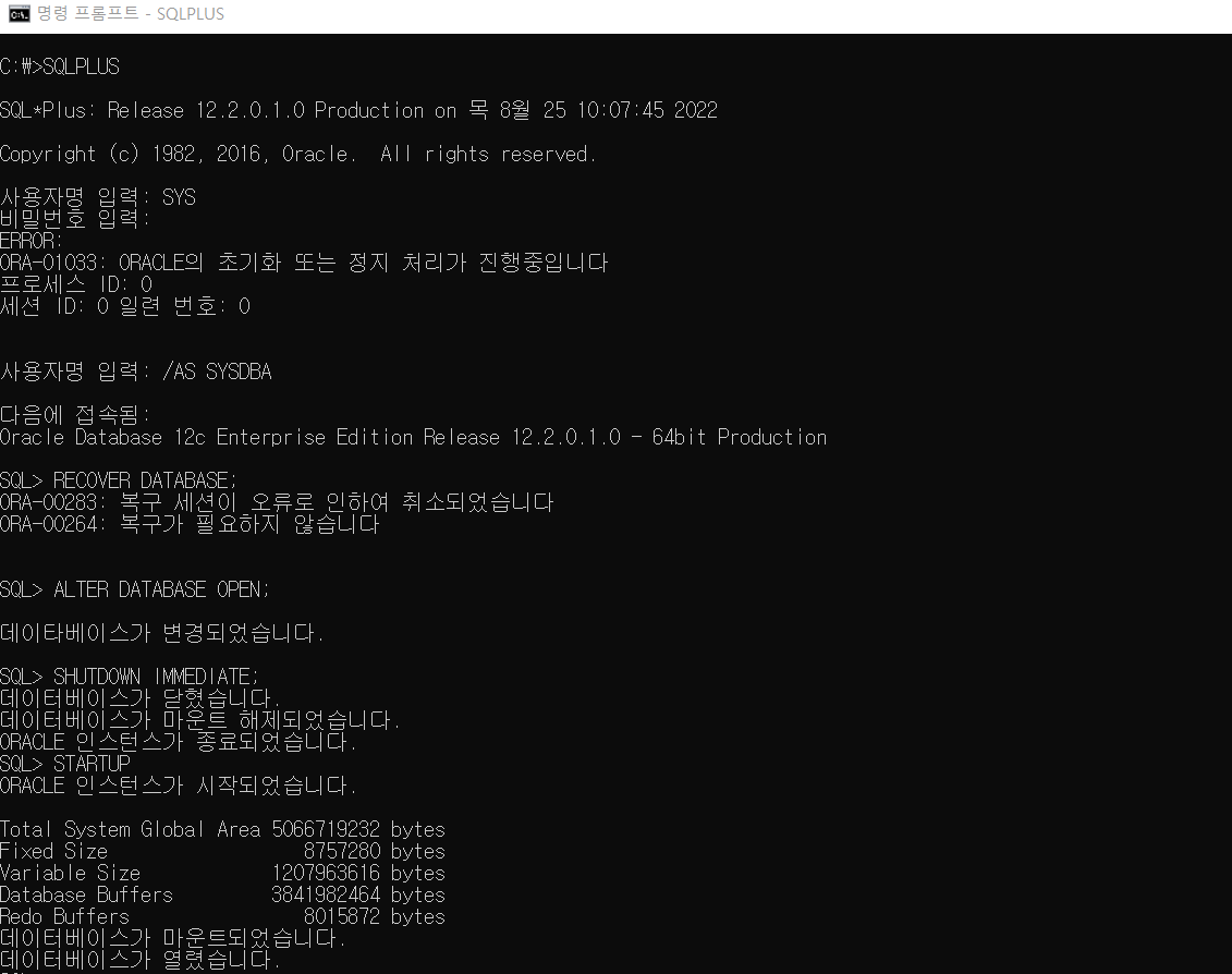 [oracle] Ora 01033 에러 발생 시