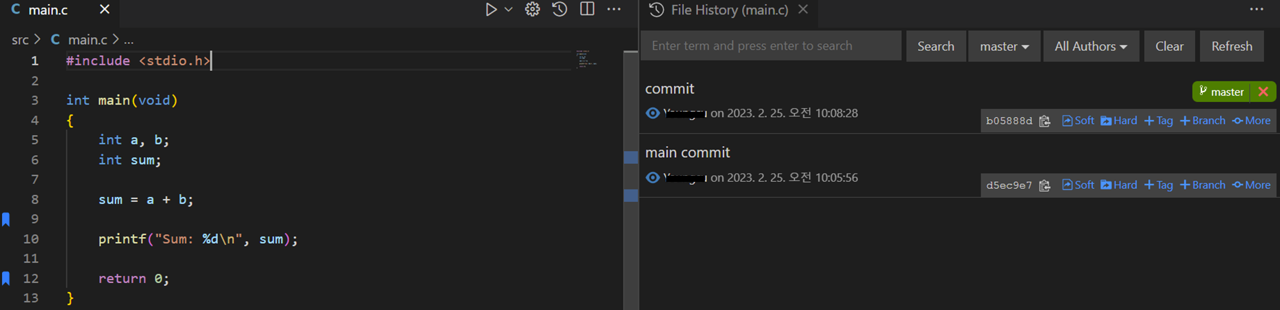 [VS Code] git extension 활용하기 (Git History, Git Graph, GitLens)