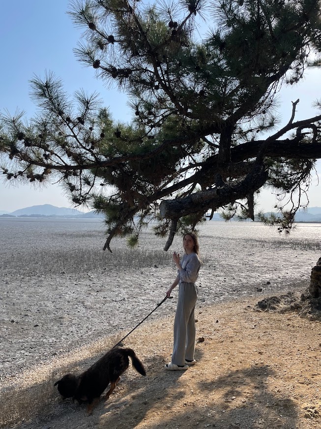 [순천 갯벌체험]