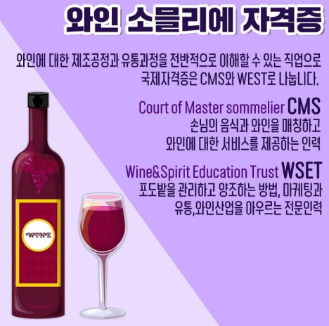 와인 자격증 WSET, CMS, 소믈리에 자격증 취득 절차