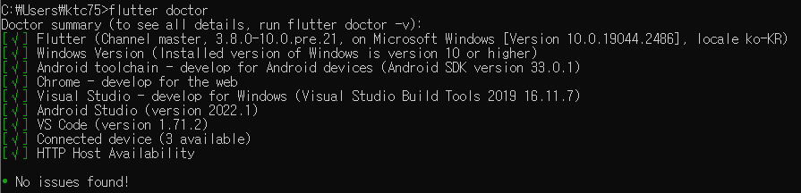 [Flutter/플러터] 플러터 환경 구성 검사하기(flutter doctor)