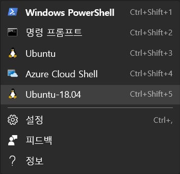 Windows10 WSL2 docker golang debug in vscode