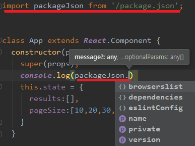 [React] package.json 의 version, name 가져오기