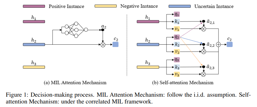 [논문 리뷰] TransMIL: Transformer based Correlated Multiple Instance ...
