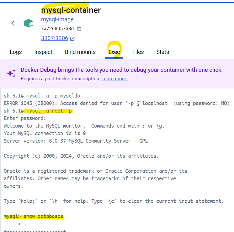 도커로 MySQL 띄우기