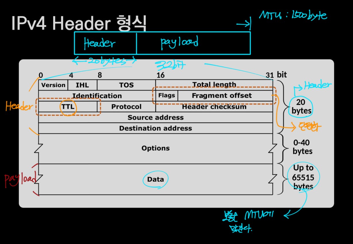 L3 IPv4 Header 형식