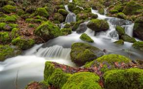 rthdvcpl 정체 삭제