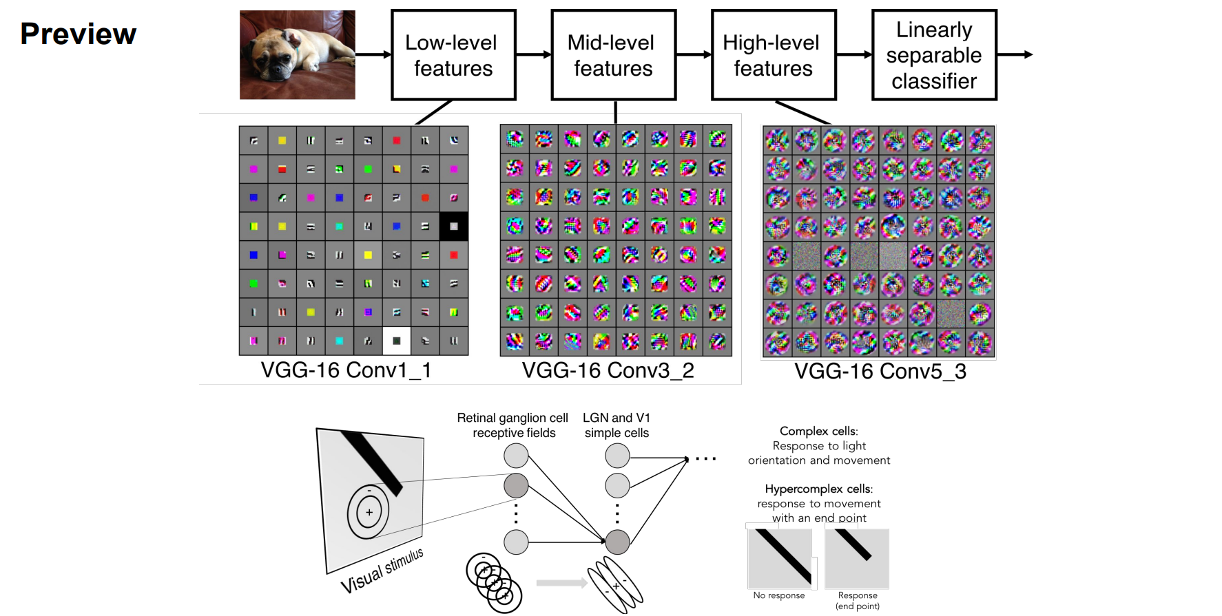 CS231n 5강 Convolutional Neural Networks