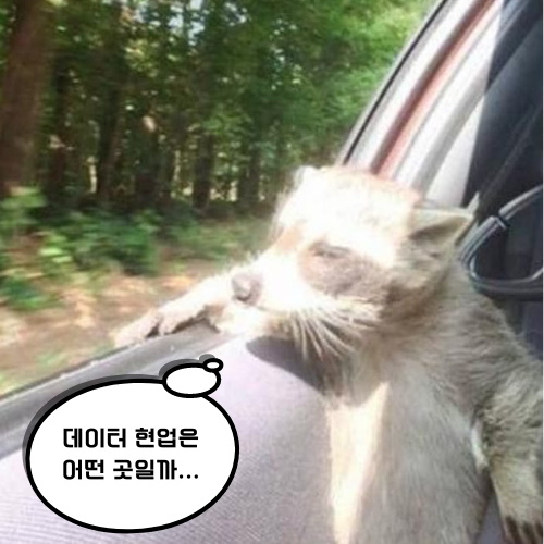 국비 지원 교육 6주차 후기 데이터베이스db 구축 Sql 데이터 분석 프로젝트 후기 비전공자 데이터 분석가로 거듭나기 비전공자의 데이터 분석 이야기